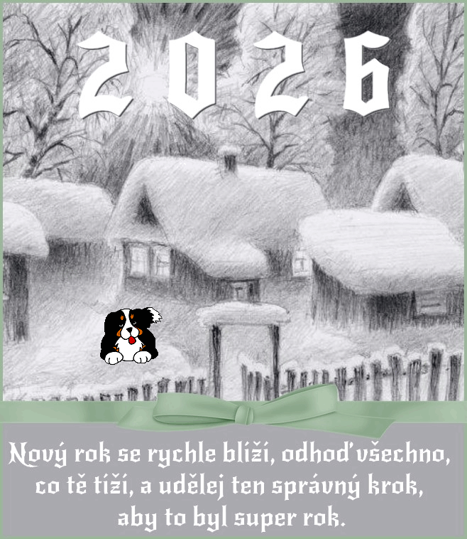 vanoce_novy_rok_novorocni_prani